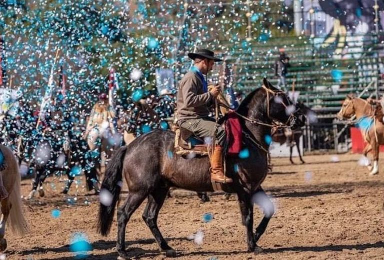 Misiones participará de la 135o Expo Rural de Palermo | El Territorio