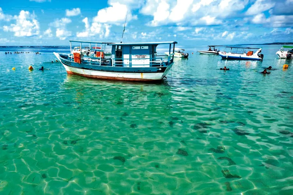 El noreste brasileño y sus destinos inolvidables | El Territorio