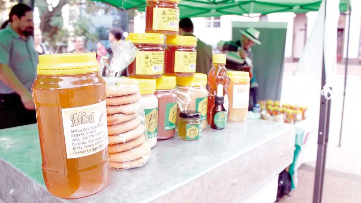 Crece la apicultura misionera y ya hay más de 770 productores | El Territorio