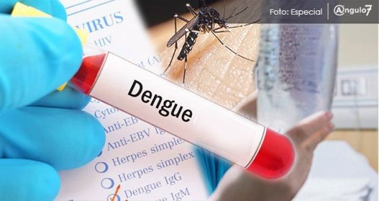 "Cuando un paciente con dengue es tratado adecuadamente el 95% de las ...