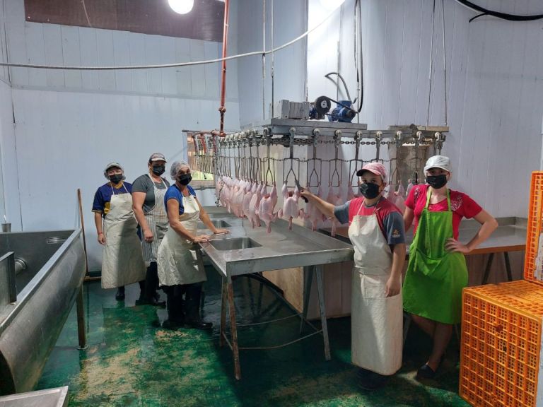 La planta de faena de pollos espera su habilitación | El Territorio