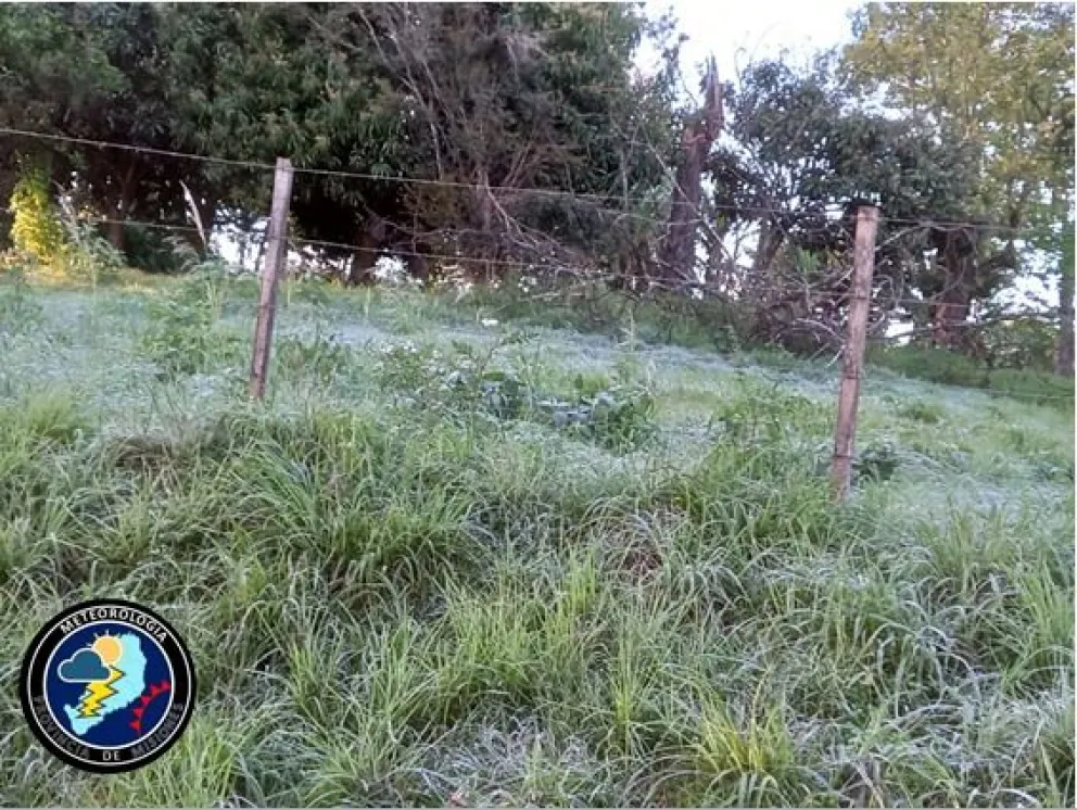 Afirman que se registraron heladas leves en Campo Viera y Leandro N ...