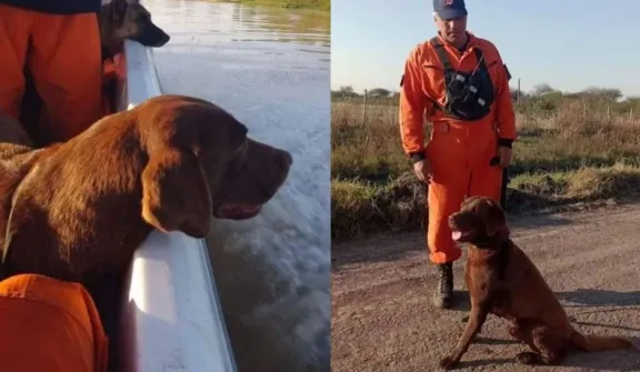 Murió Nerón, uno de los perros que encontró rastros de Loan Danilo Peña ...
