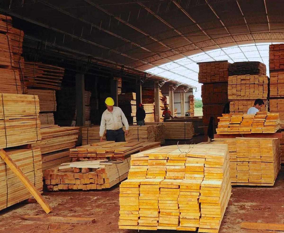 Misiones: expectativa y cautela en el sector industrial tras el ...
