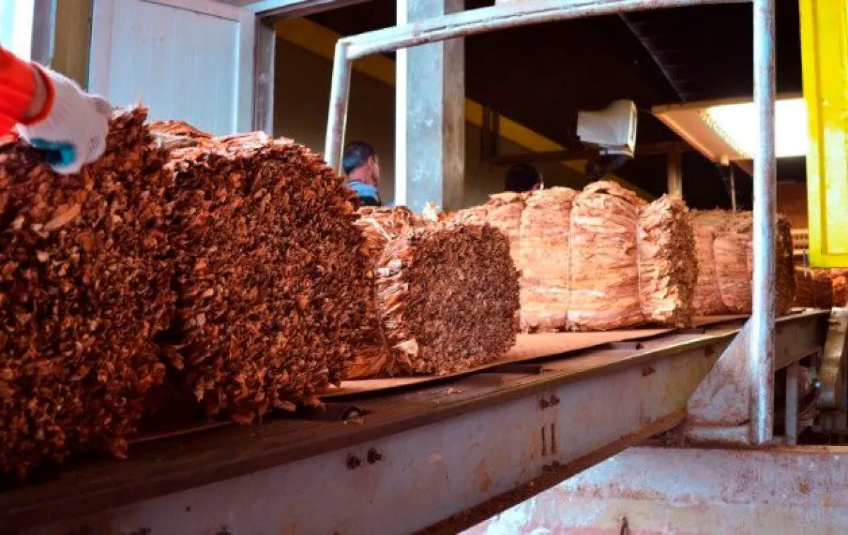Tabaco con acopio histórico en Misiones | El Territorio