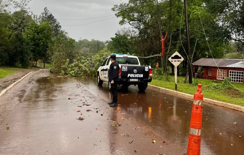 Temporal en Misiones: caídas de árboles, techos dañados y cortes de ...