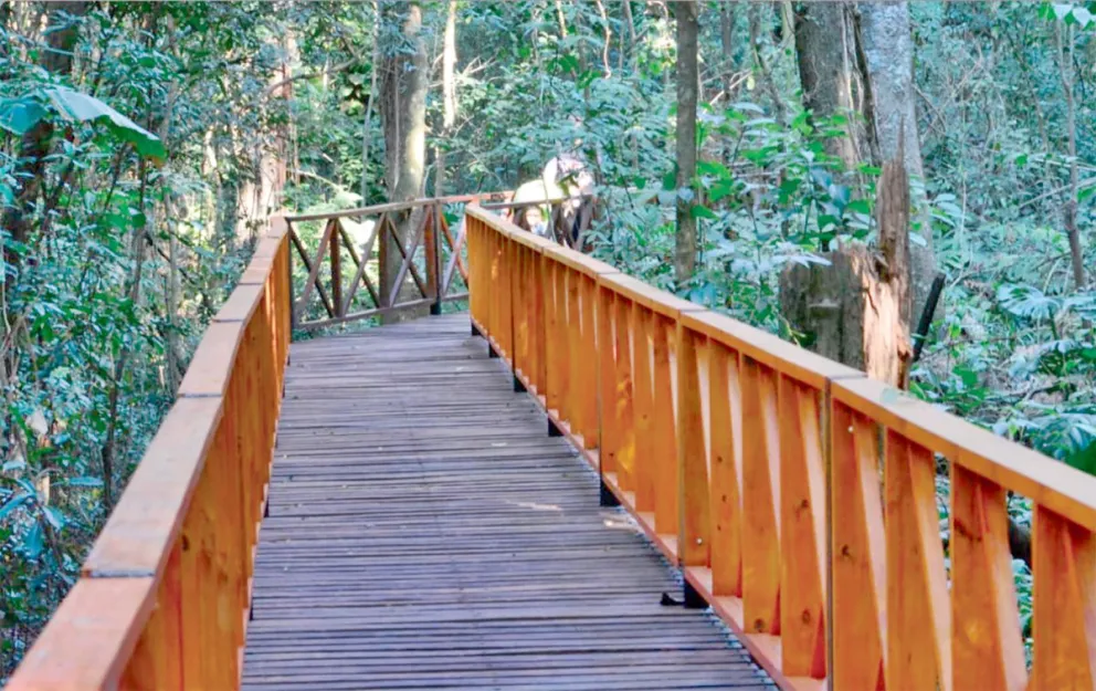 Octubre en Misiones: flores, homenajes y noches bajo las estrellas | El ...