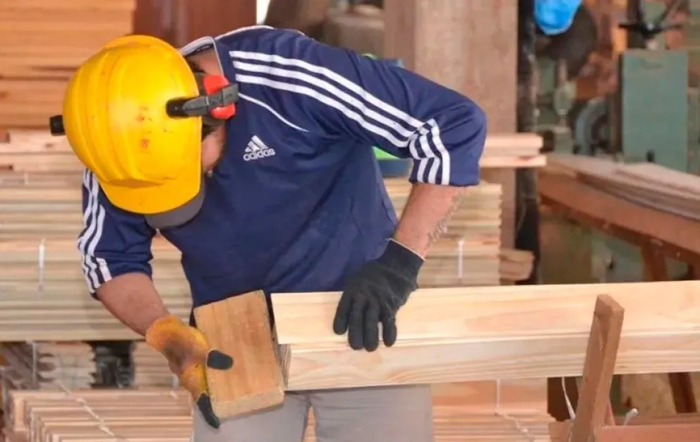 Crisis en la forestoindustria genera tensión con el sindicato en ...