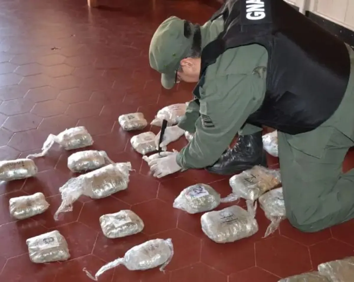Incautaron más de 20 kilos de marihuana ocultos en una encomienda en Santo Tomé | El Territorio