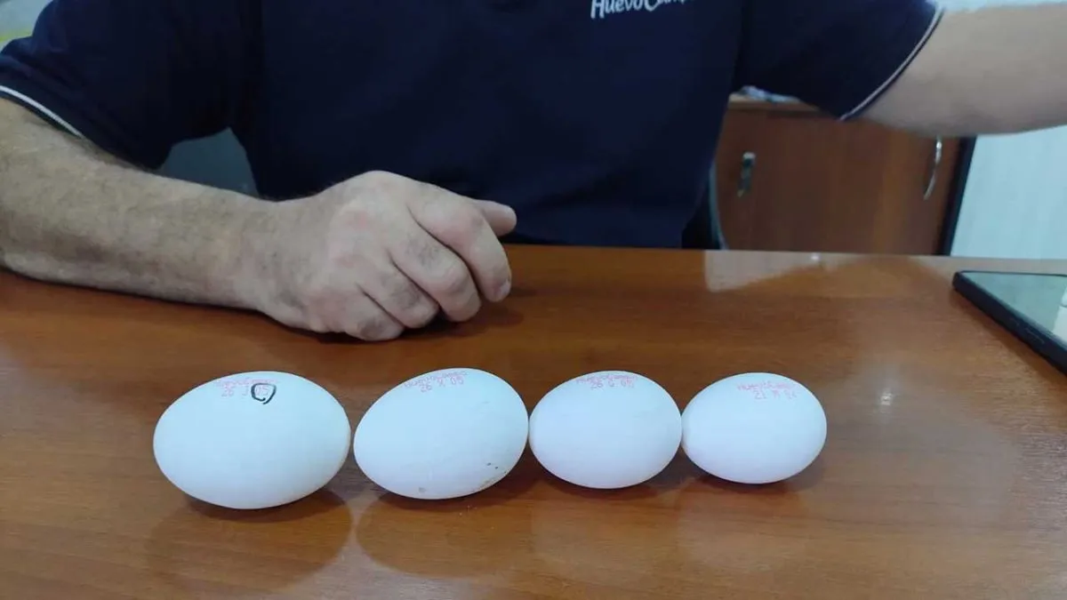 El consumo de huevos no para de crecer en Argentina y hay más ofertas ...