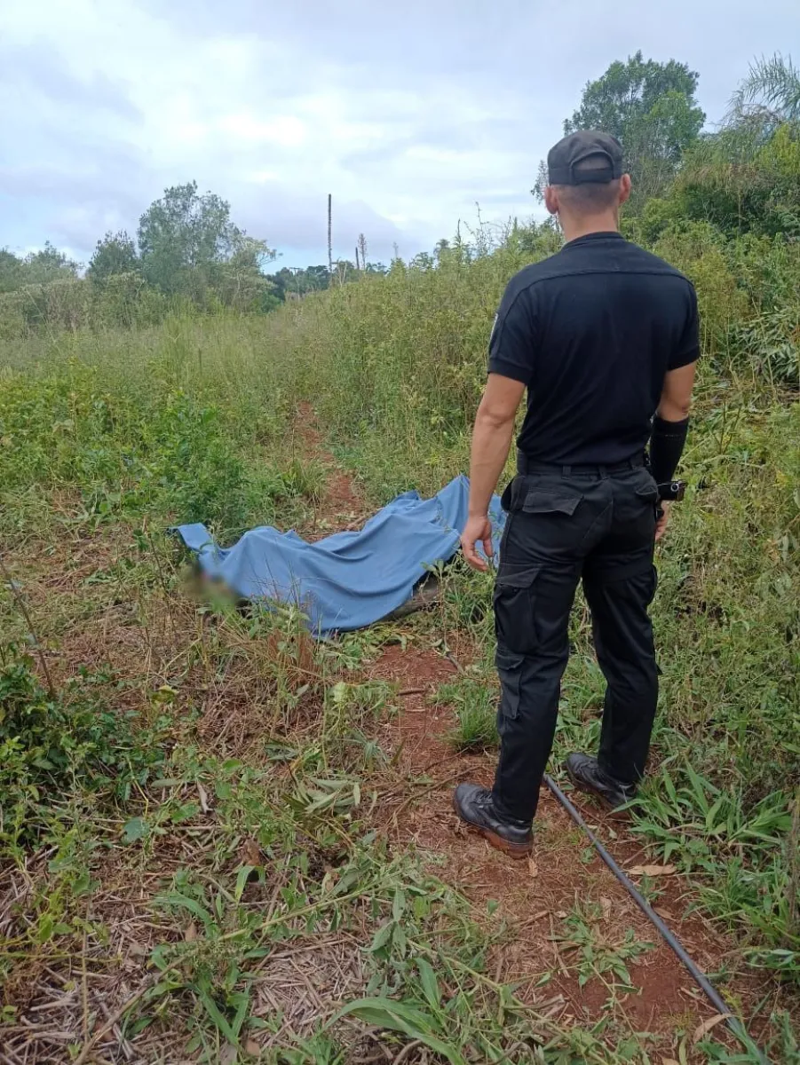 San Vicente: un hombre murió electrocutado al cortar un gajo de árbol ...