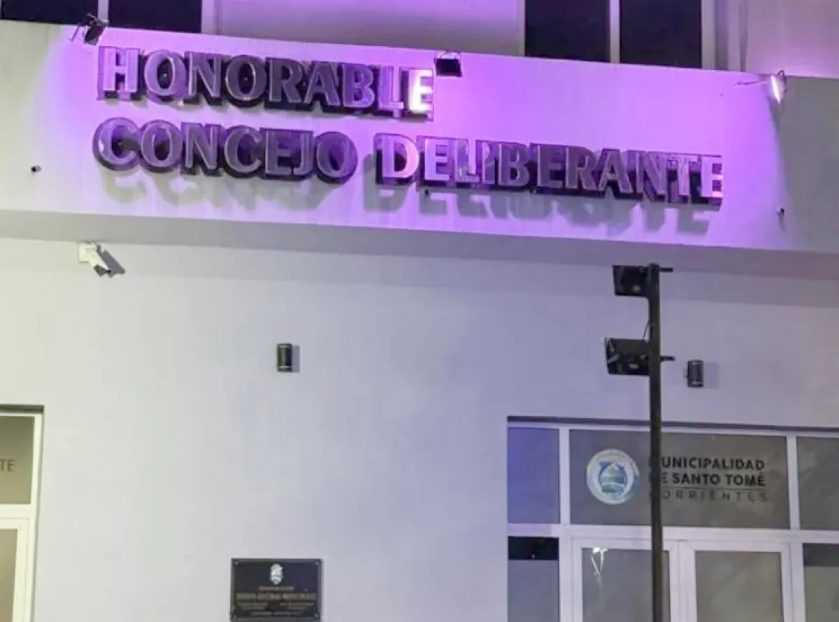 Santo Tomé: solicitaron declarar de Interés Provincial la jornada ...