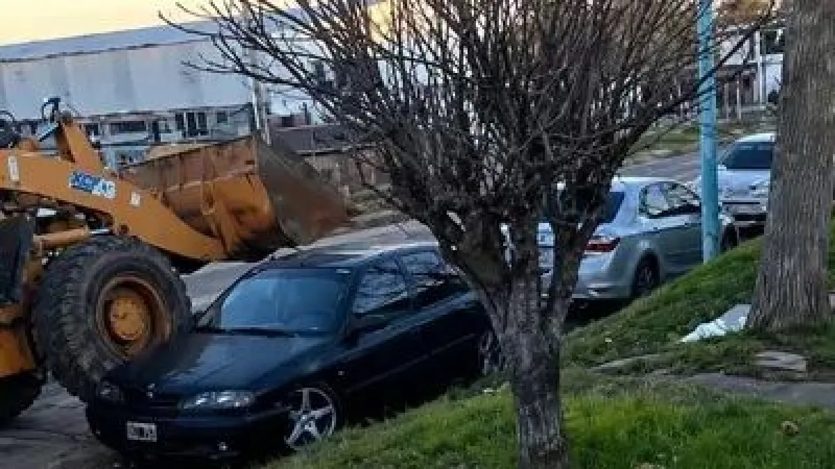 Se emborrachó tras la victoria de Argentina, se subió a una ...